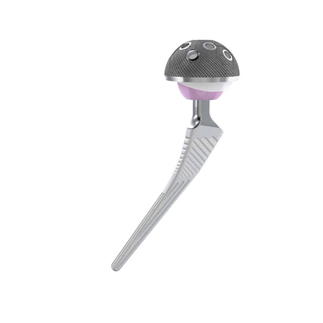 SIGNATURE NX Cup with SIGNATURE Stem - Orthovasive